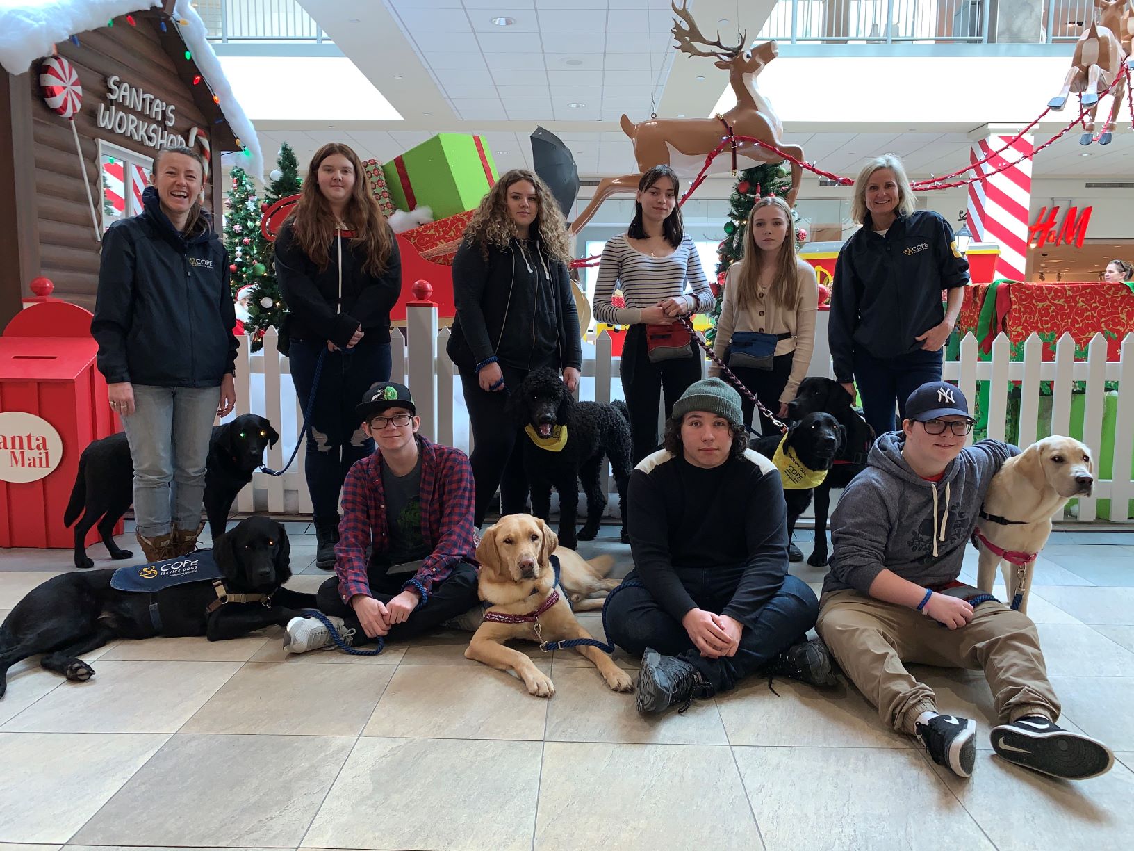 Driverseat helps COPE Students Raise Money for COPE Service Dogs - Dec ...